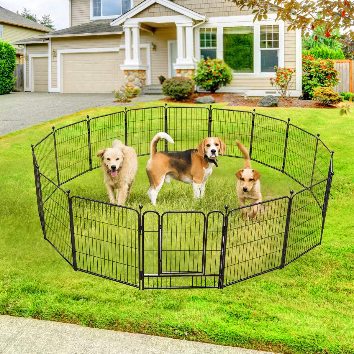 15 Cheap Backyard Fence Ideas For Dogs | ThePetsTome